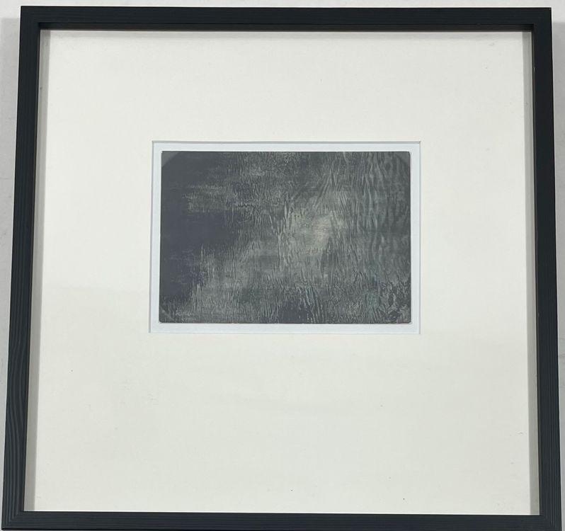 Franz Gertsch (1930-2022) Serigraphie „Schwarwasser“ | Kaufen auf Ricardo
