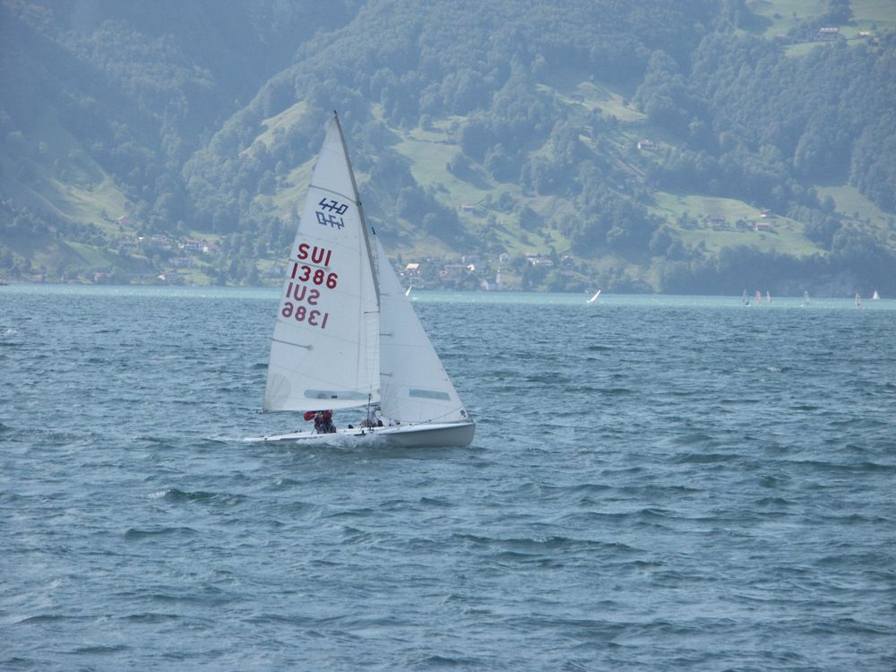 Segeljolle 470er (Ziegelmayer) | Kaufen auf Ricardo