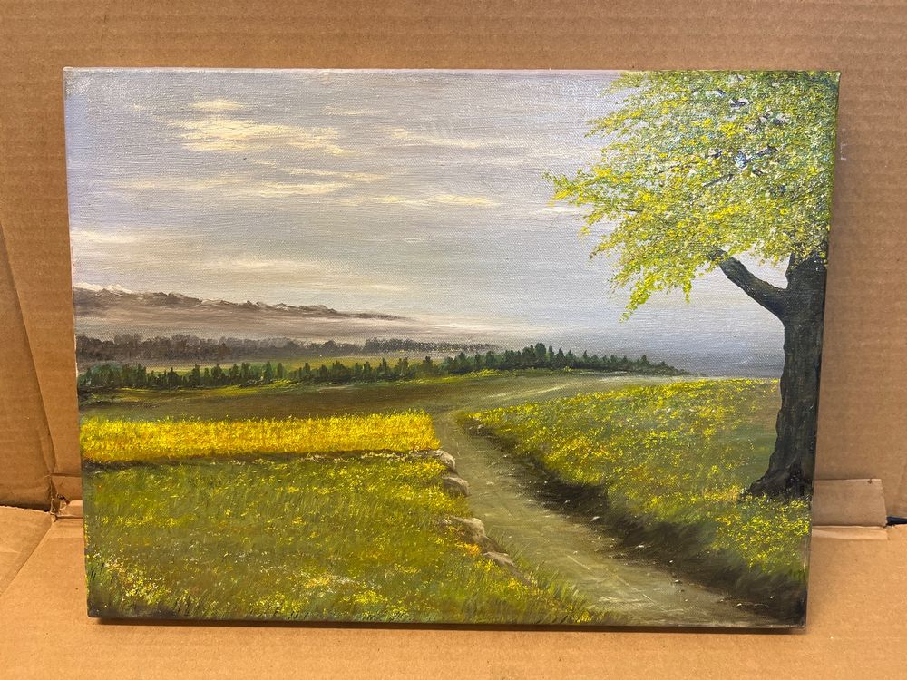 Peinture Huile sur toile champ de fleurs jaune 30x40 (Gebraucht) in ...