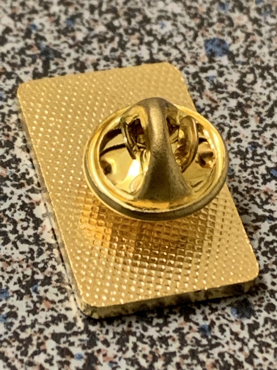 Fake - PIN „1g Fine Gold“ (Kein echtes Gold!!!) (Gebraucht) in Wangen b ...