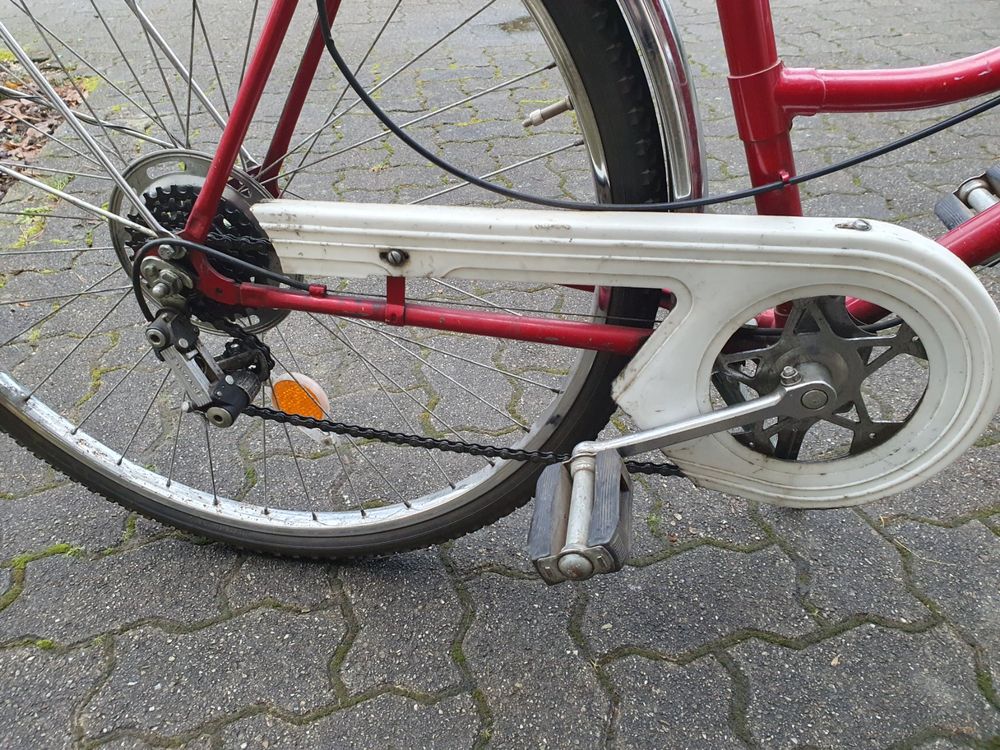 LAURA Special Vintage Damenvelo (Gebraucht) in Ettingen für CHF 60 ...