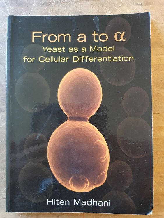 from a to alpha – hiten madhani | Kaufen auf Ricardo