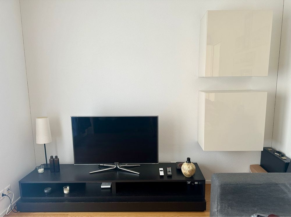 NATUZZI - TV Stand & Bookcase (Gebraucht) in Küsnacht ZH für CHF 1990 ...