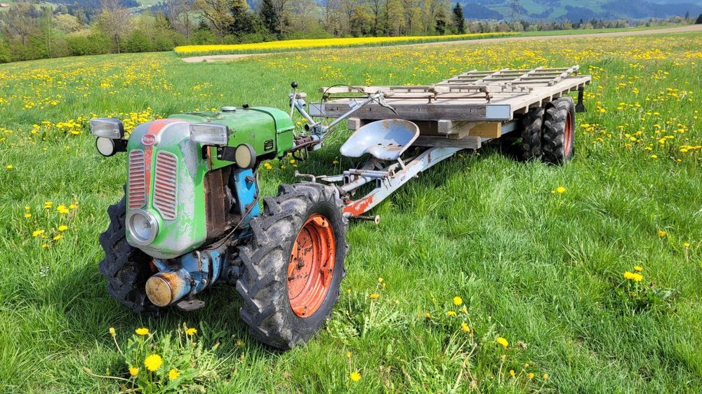 Rapid S-Spezial | Kaufen auf Ricardo