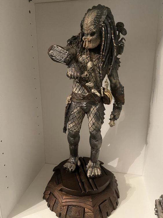 Elder Predator, Sideshow 1:4 (Gebraucht) in Reinach BL für CHF 480 ...