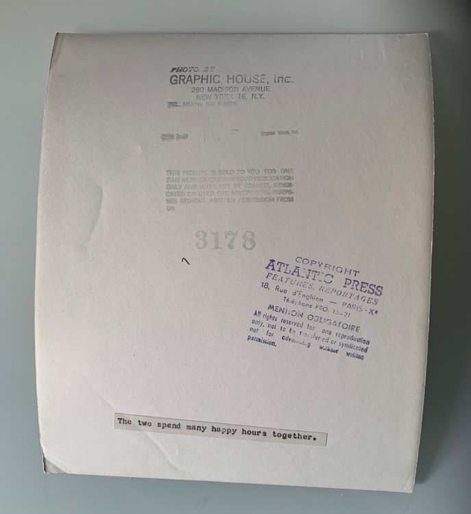 Schönes Foto Ann Miller mit Dogge um 1960 (Gebraucht) in Bern für CHF 8 ...