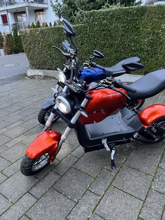 CITY MAX RR 20 KM/H ELEKTRO ROLLER (Neu und originalverpackt) in ...