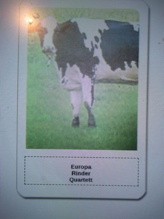 Europa Rinder Quartett 52 Karten (Neu und originalverpackt) in Herznach für CHF 32 – mit ...