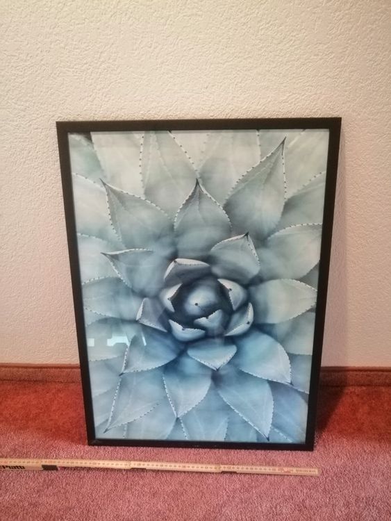 Blumenbild mit Rahmen | Kaufen auf Ricardo