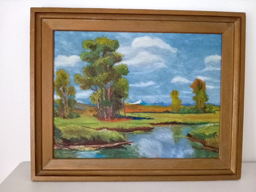 Ölgemälde Landschaft auf Leinwand mit Holzrahmen gerahmt (Gebraucht) in Pratteln für CHF 19 ...
