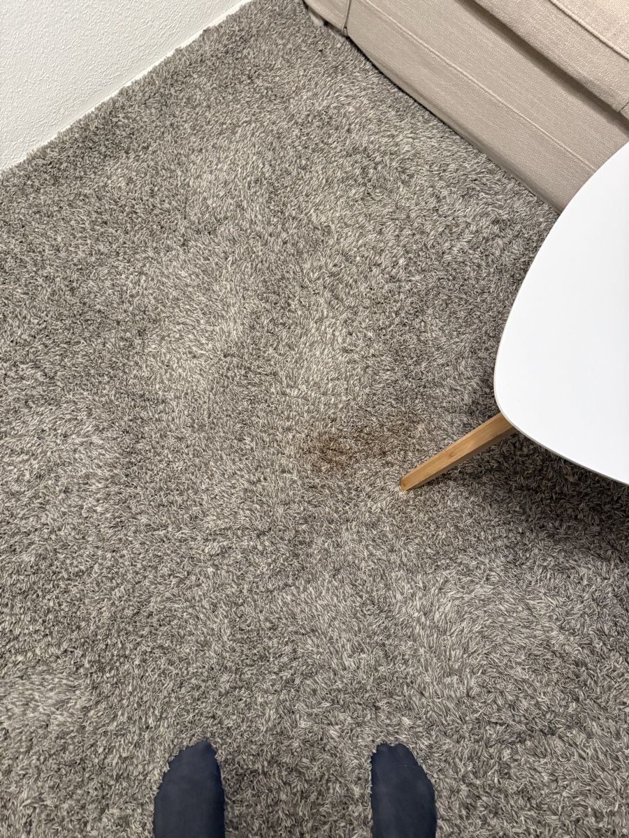 Ikea VINDEBÄK Rug, 200x300 cm, Grey, Used but cozy! (Gebraucht) in ...