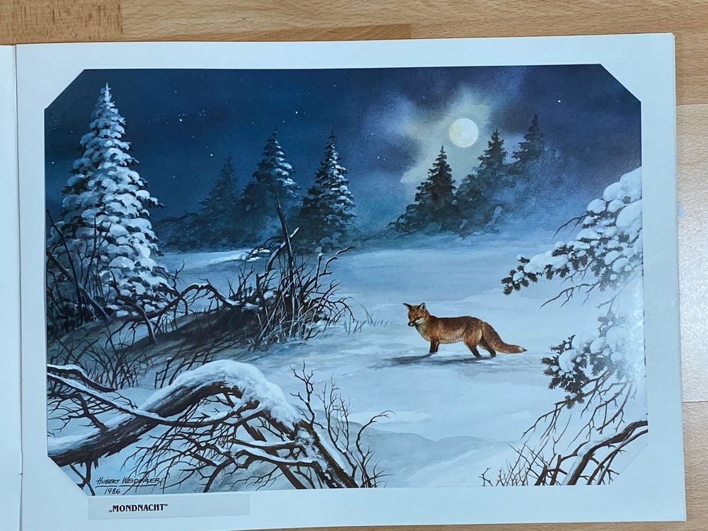 Hubert Weidinger (1951) Mappe mit 12 imposanten Bildern (Gebraucht) in ...