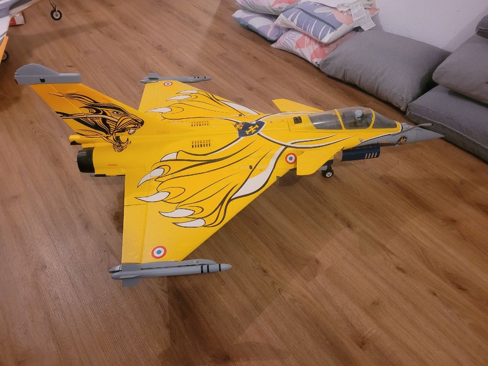 Rafale freewing 80mm (Gebraucht) in Satigny für CHF 280 – nur Abholung auf Ricardo kaufen