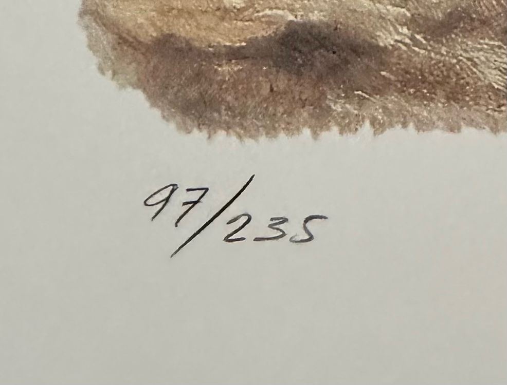 Marcel Moser Litho.mit Füchsen Handsig. (Gebraucht) in Hochdorf für CHF 10 – mit Lieferung auf ...