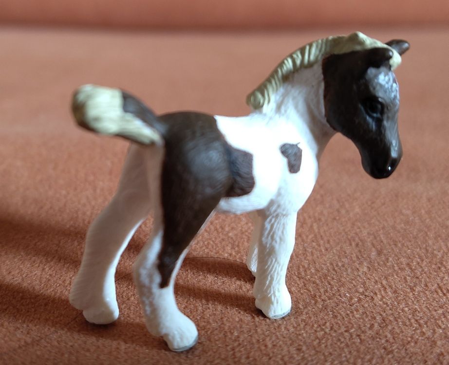 Süsses Fohlen, Pferd, Schleich 13687 Falabella (Neu (gemäss Beschreibung)) in Bonaduz für CHF 3 ...