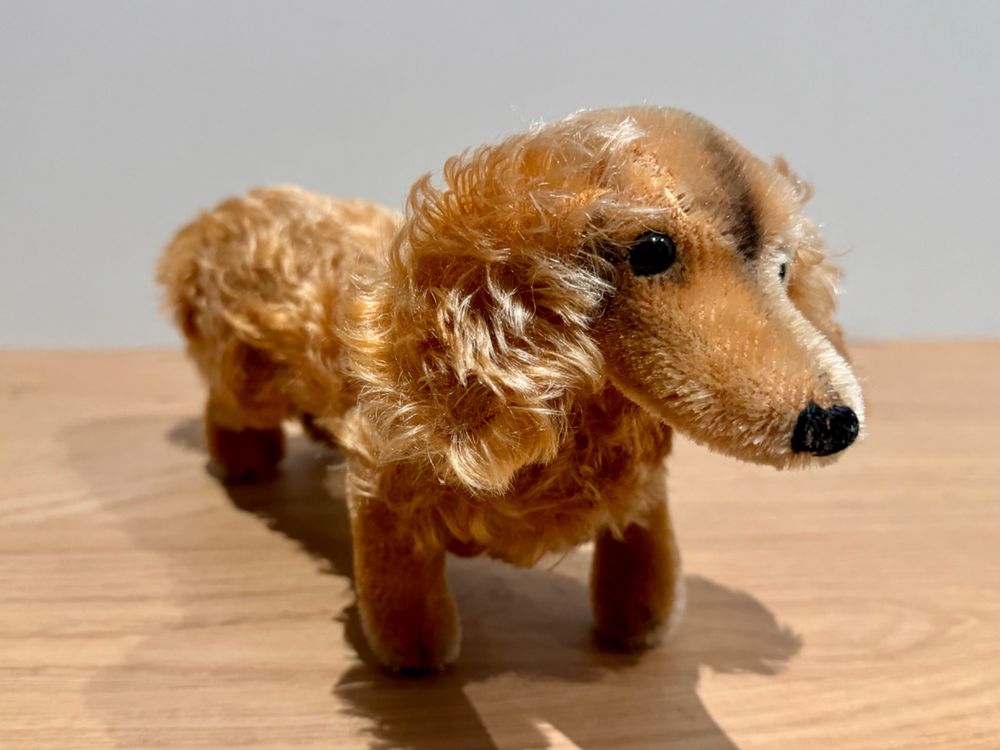 Niedlicher Steiff Dackel Waldi 4140/17 sucht neues Zuhause! (Gebraucht ...