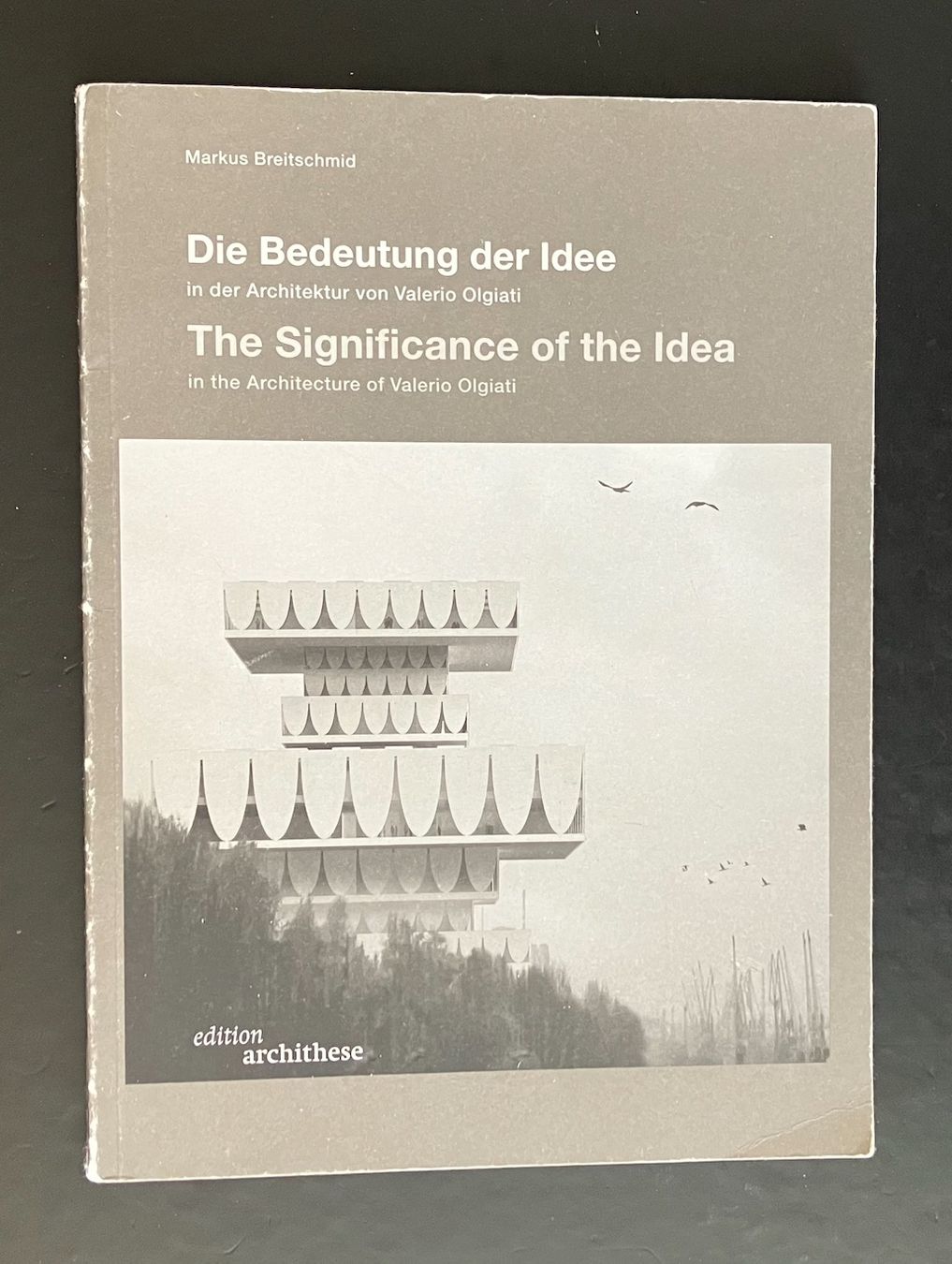 die bedeutung der idee in der architektur v. valerio olgiati (Gebraucht ...