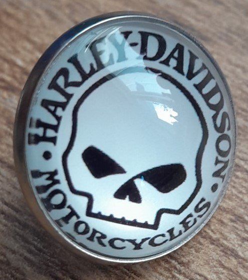 Pin's Harley Davidson J102 (Neu und originalverpackt) in Allens für CHF ...