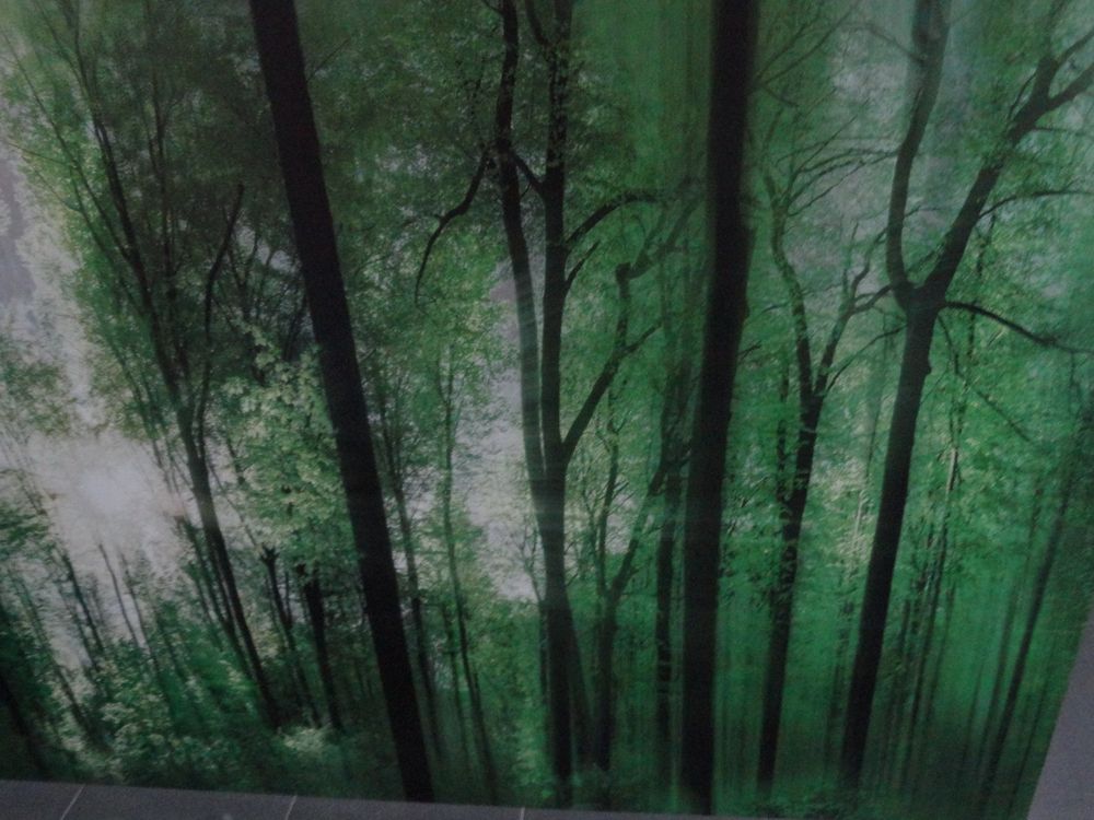 SCHÖNES WALDBILD AUF ALUPLATTE 2 METER LANG 1 METER HOCH (Neu (gemäss ...