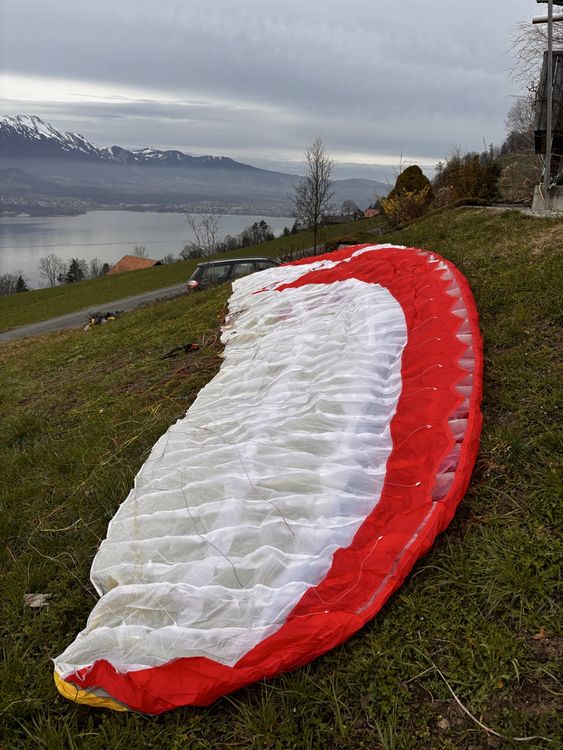 Gleitschirm Gradient Golden 3 / 22m2 | Kaufen auf Ricardo