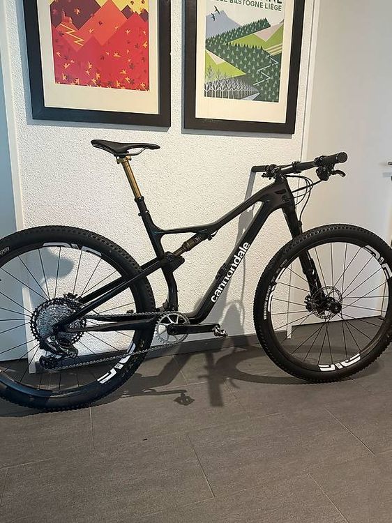 Cannondale Scalpel Hi-Mod Ultimate Gr L (Gebraucht) in Riehen für CHF ...