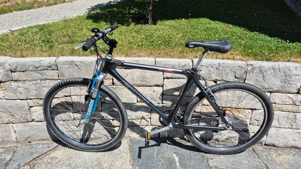 MTB Giant Cadex MCM-1 (Gebraucht) in Niederweningen für CHF 95 – nur ...