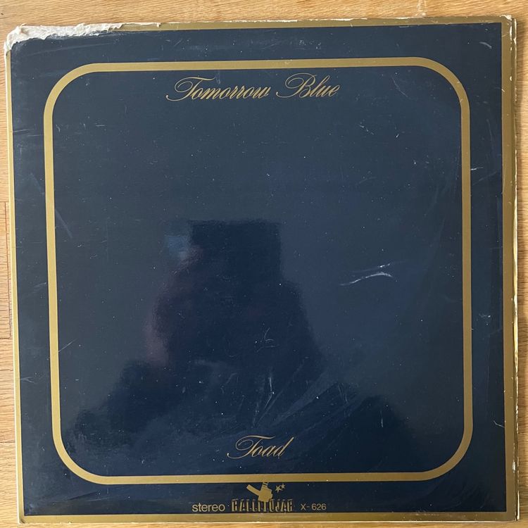 Toad - Tomorrow Blue / 1. Swiss Press. 1972 | Kaufen auf Ricardo