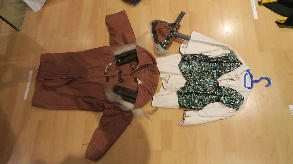 Selbstgenähtes Fasnachnachtskleid für Kind (5 Jahre) (Gebraucht) in ...