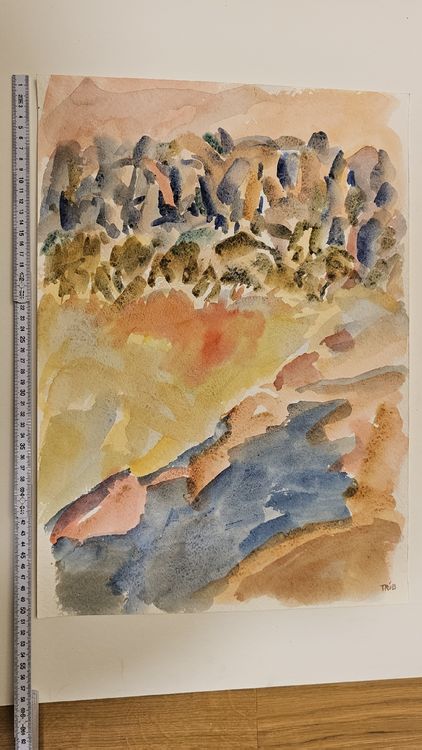 Charles Trüb Aquarell handsigniert (Gebraucht) in Emmenbrücke für CHF 99 – mit Lieferung auf ...