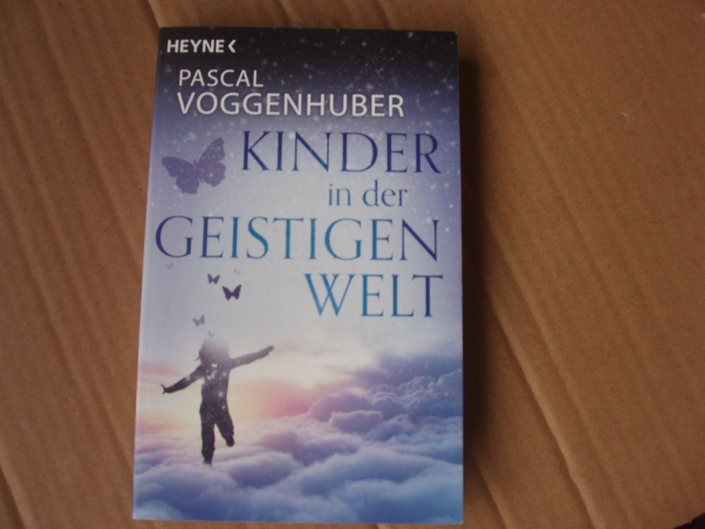 Pascal Voggenhuber-Kinder in der geistigen Welt (Gebraucht) in Biel/Bienne für CHF 3 – mit ...