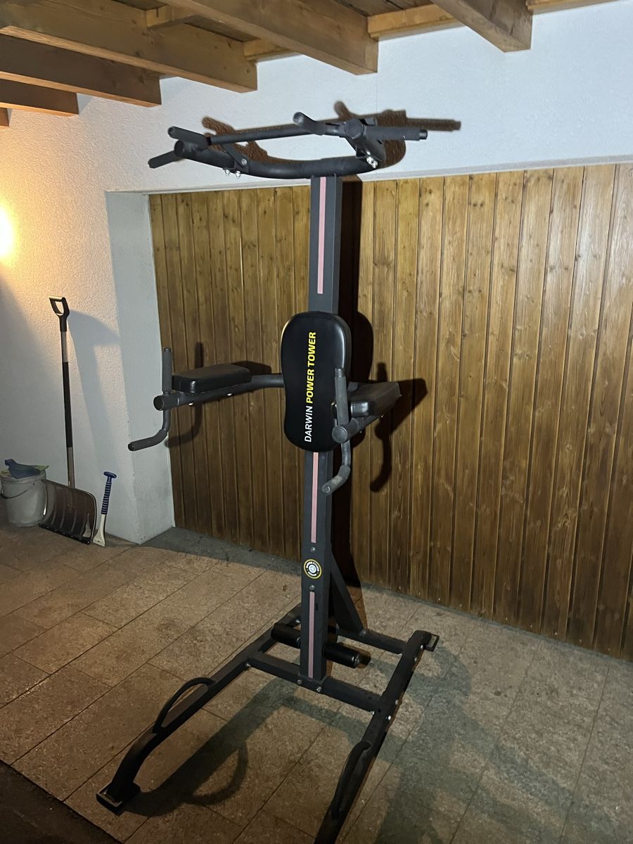 Darwin Power Tower, guter Zustand,für dein Home Gym! (Gebraucht) in Würenlos für CHF 199 – nur ...