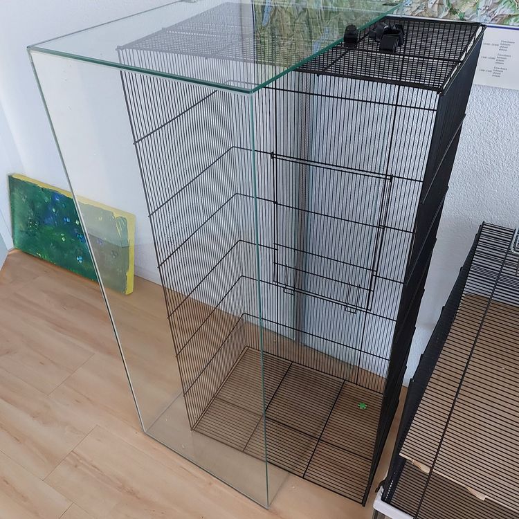 Hamsterkäfig oder Mäusekäfig (Gebraucht) in Bonau für CHF 100 – nur ...