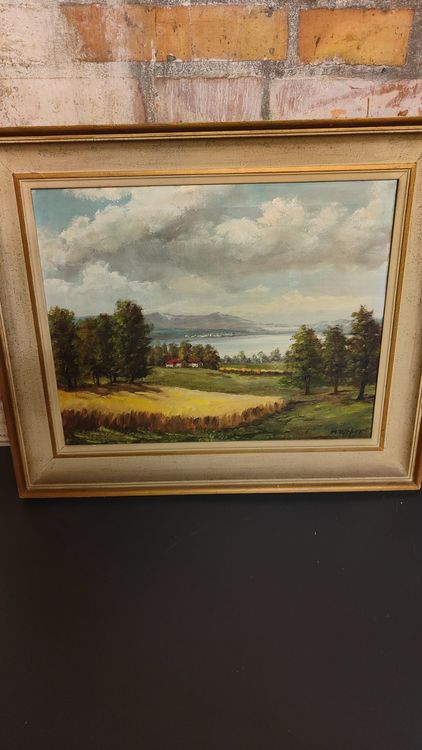 ÖLGEMÄLDE ZÜRICHSEE SIGIERT M. WEBER (Gebraucht) in Jeuss für CHF 33 – nur Abholung auf Ricardo ...