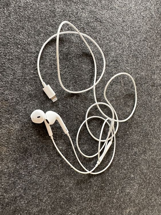 Apple headphones NEW | Kaufen auf Ricardo