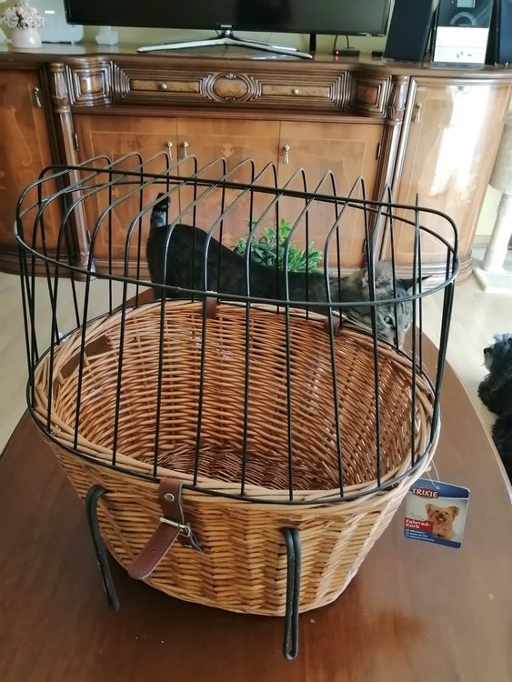 Hundekorb für Fahrrad (Neu (gemäss Beschreibung)) in Gossau SG für CHF ...