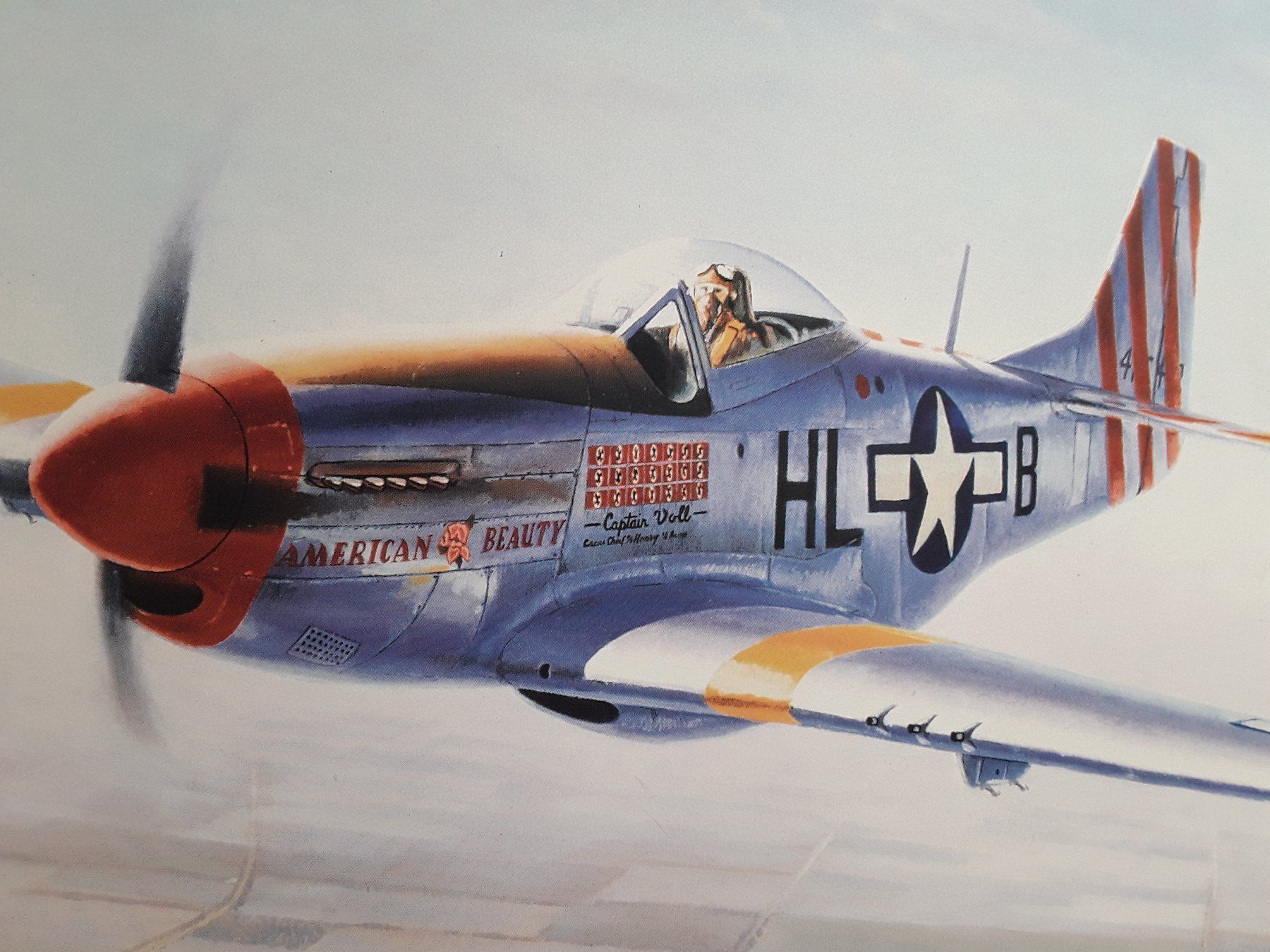 Bild Americas Beauty __ Mustang P-51 _ 50 Jahre US Air Force (Gebraucht) in Uerikon für CHF 34 ...