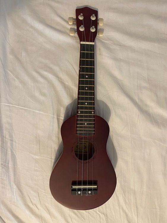 Ukulele Sheffield (Neu (gemäss Beschreibung)) in Zürich für CHF 10 ...