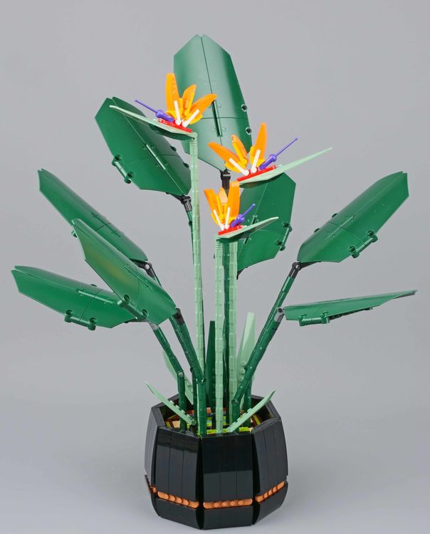 LEGO 10289 Bird of Paradise - Botanical Collection | Kaufen auf Ricardo
