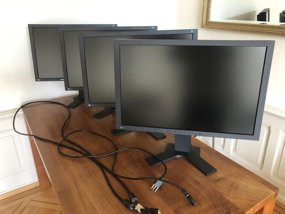 EIZO Flexscan S2433W Monitor 24" Full HD (Gebraucht) in Zürich für CHF ...