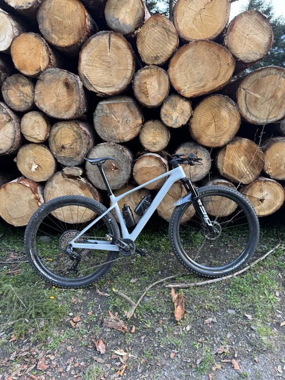 Full carbon MTB - Frame only - hand-painted (Gebraucht) in Altdorf UR ...