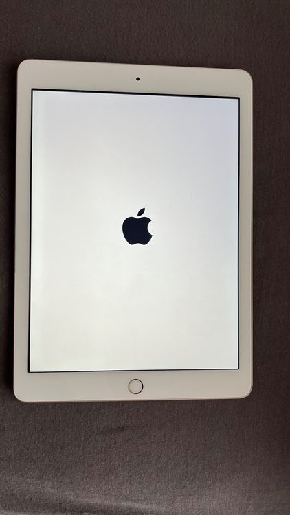 iPad (5. Generation) | Kaufen auf Ricardo