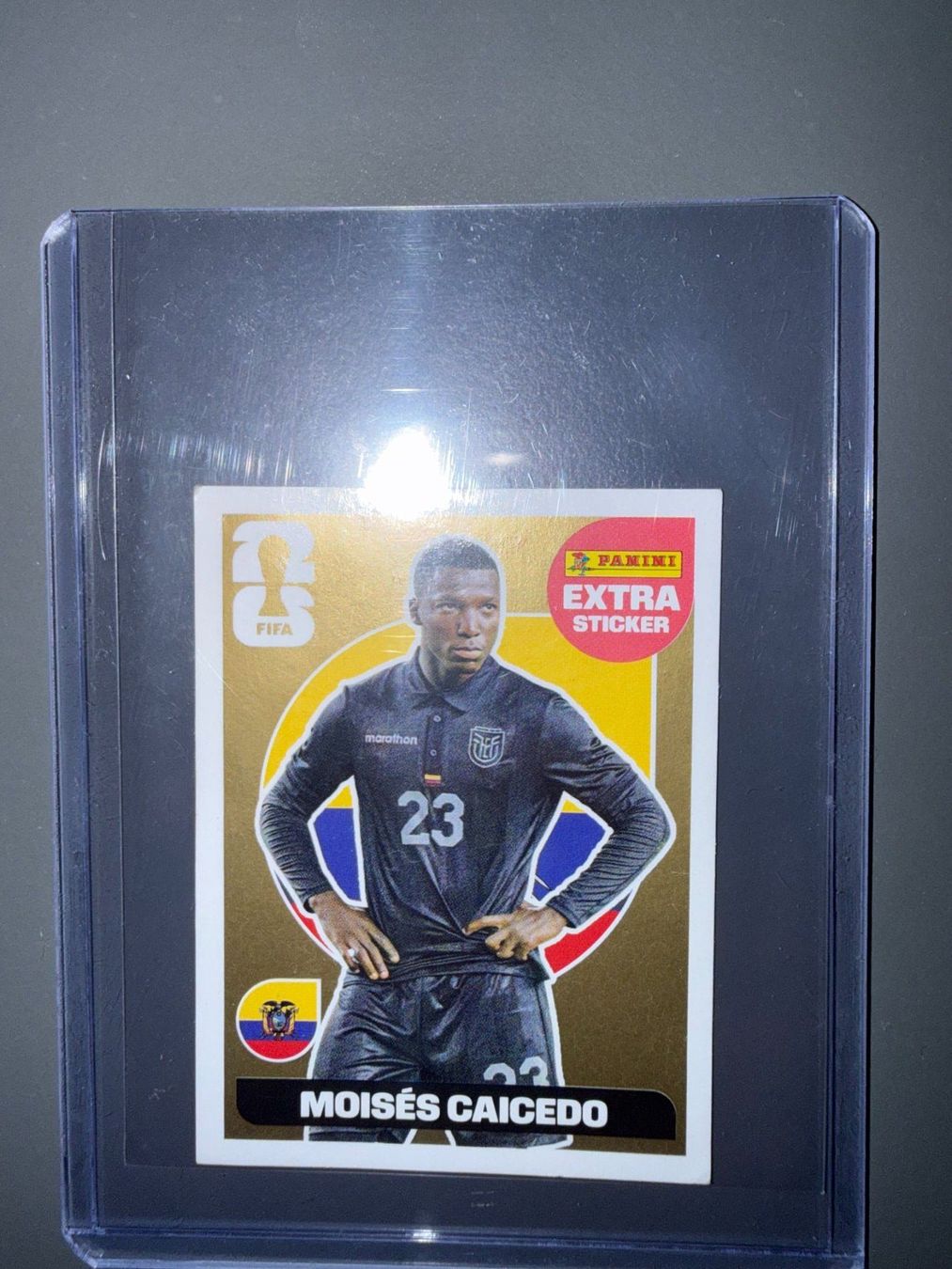 Panini WM 2026 GOLD Caicedo EXTRA Sticker (Gebraucht) in Eschlikon TG ...