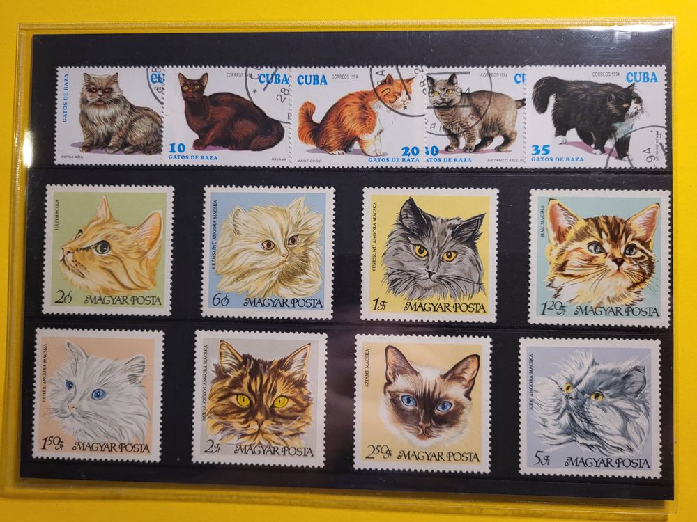 Katzen 13 Briefmarken, Kuba u. Ungarn auf Steckkarte (Gebraucht) in ...