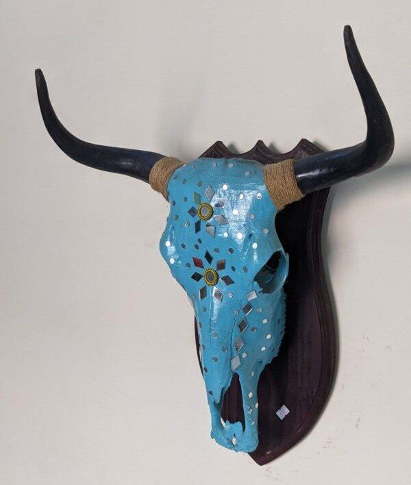 Real Hand-Carved Yak Skull with Horns Western Wall Art | Kaufen auf Ricardo