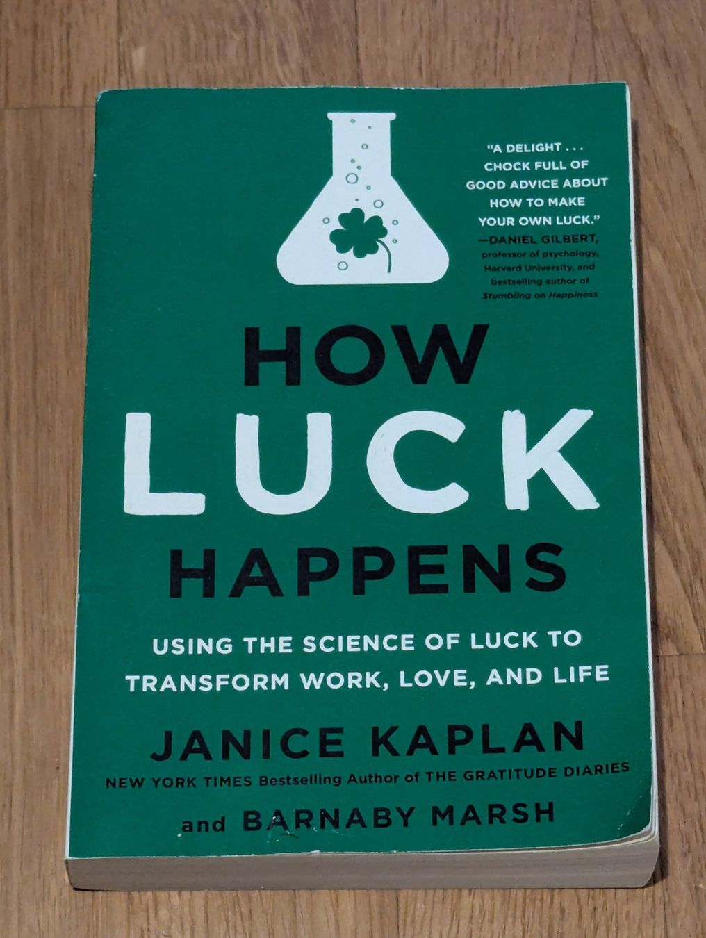 How Luck Happens - Janice Kaplan & Barnaby Marsh (Gebraucht) in Bern ...