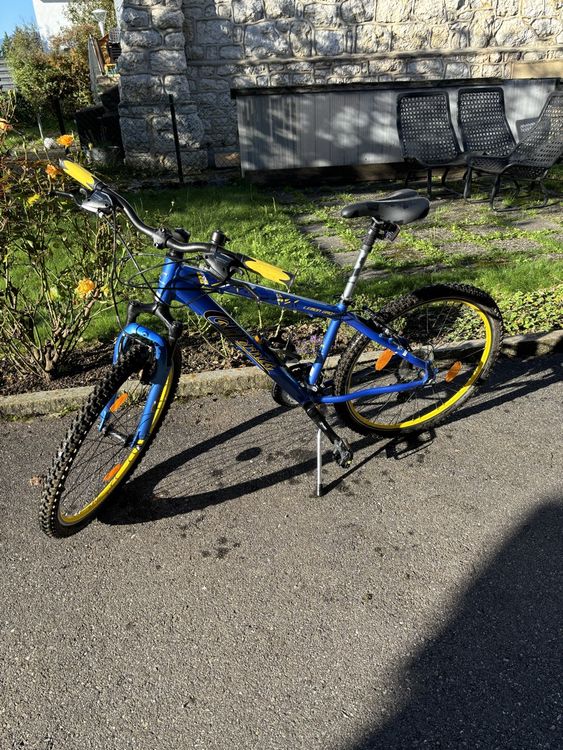 Velo California Lemon Grove 21 vitesses - 26 pouces (Neu (gemäss ...