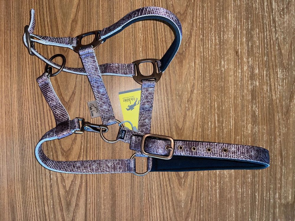 Halfter für Pony (Neu (gemäss Beschreibung)) in Sempach für CHF 5 – mit ...