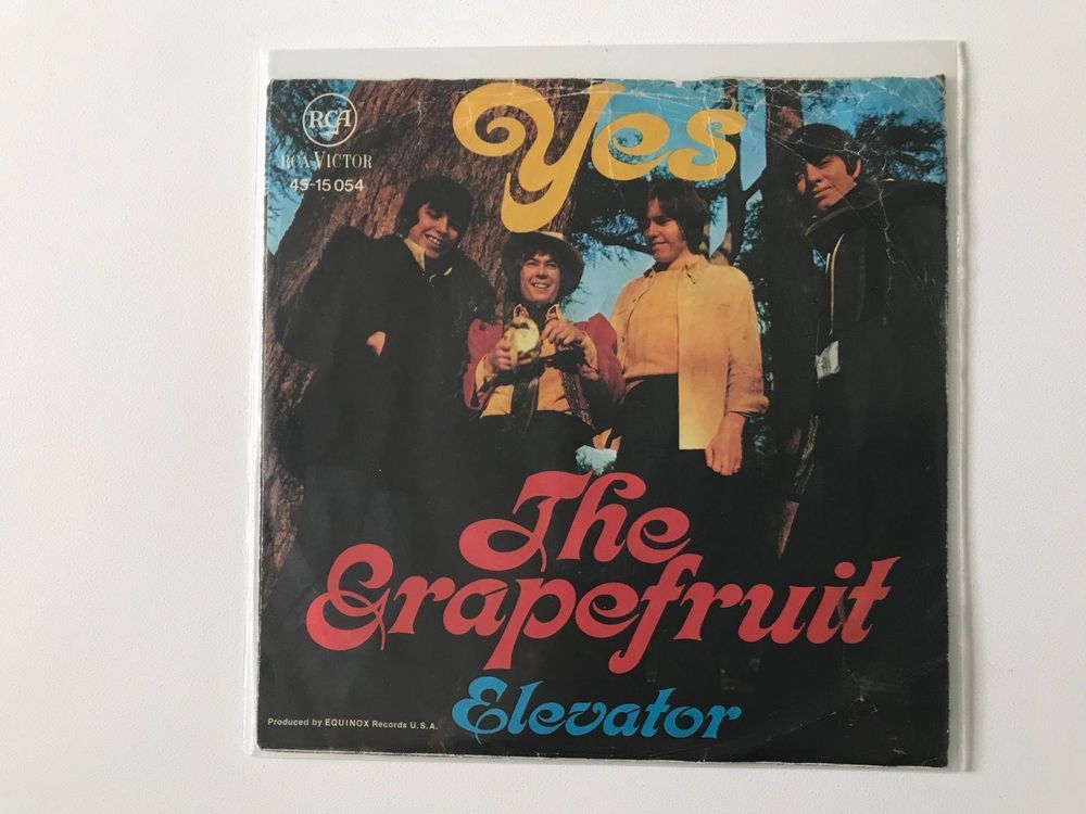 The Grapefruit Single - Yes / Elevator (Gebraucht) in Gutenswil für CHF ...