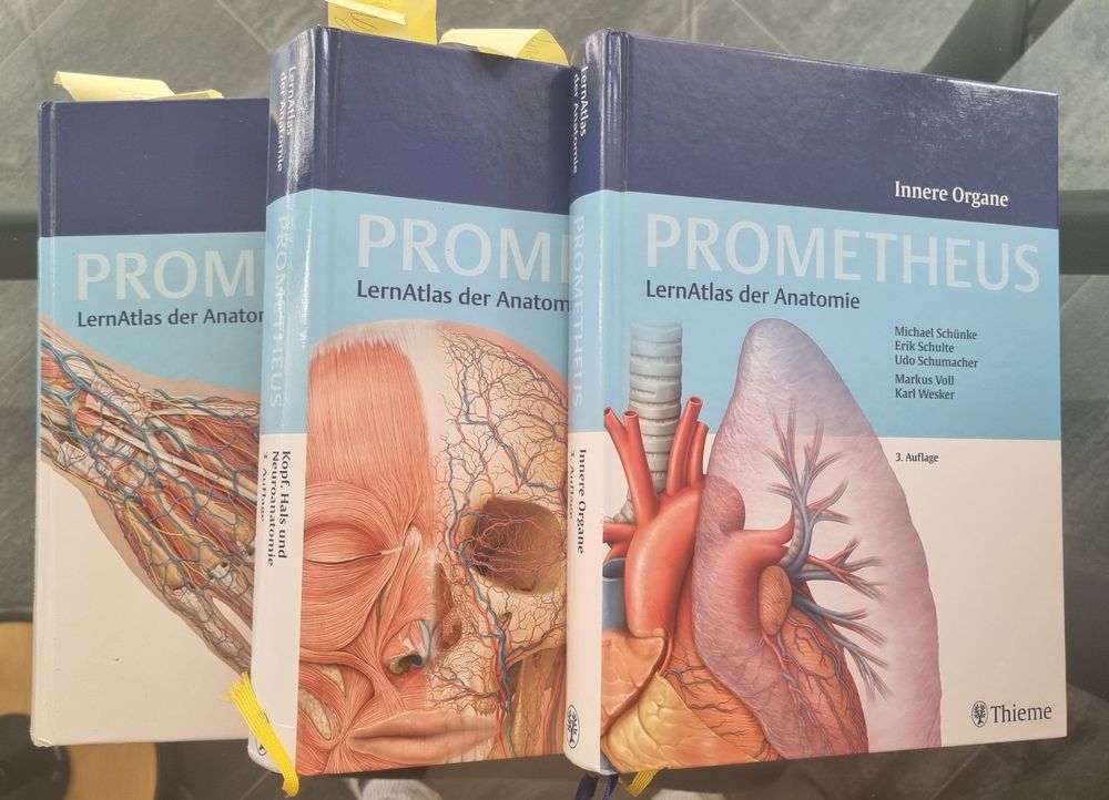 Prometheus Anatomie Meidzin Innere Organe Studium 3 Bücher (Gebraucht ...