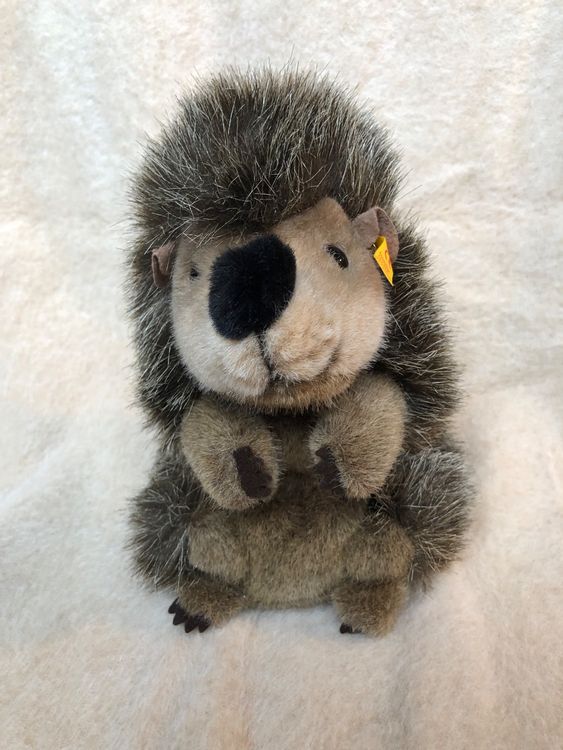 Joggi Igel 20 von Steiff (Gebraucht) in Rapperswil SG für CHF 13 – mit ...